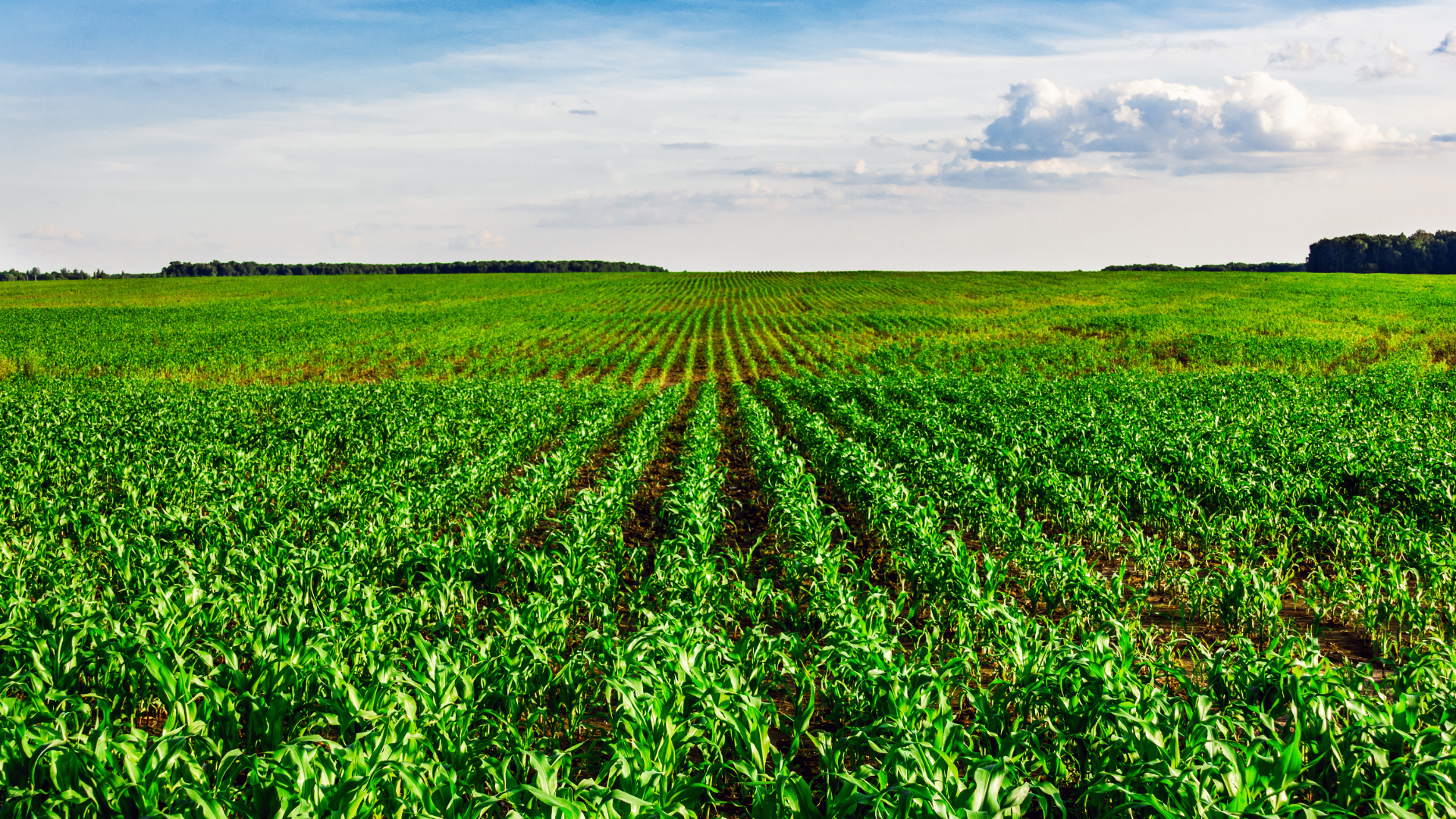 Key factors that drive better crops – Gramraj